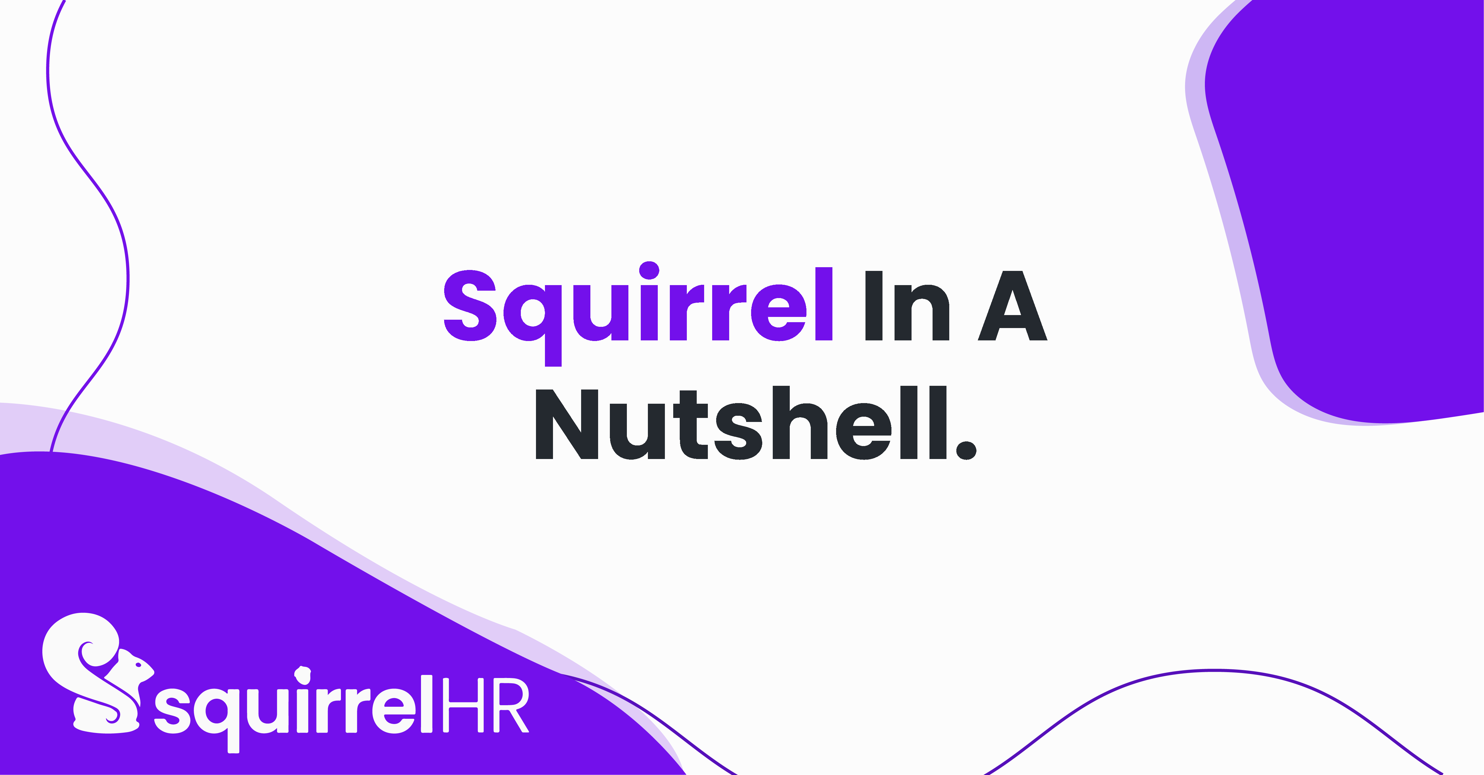 About | SquirrelHR - HR software, redefined.